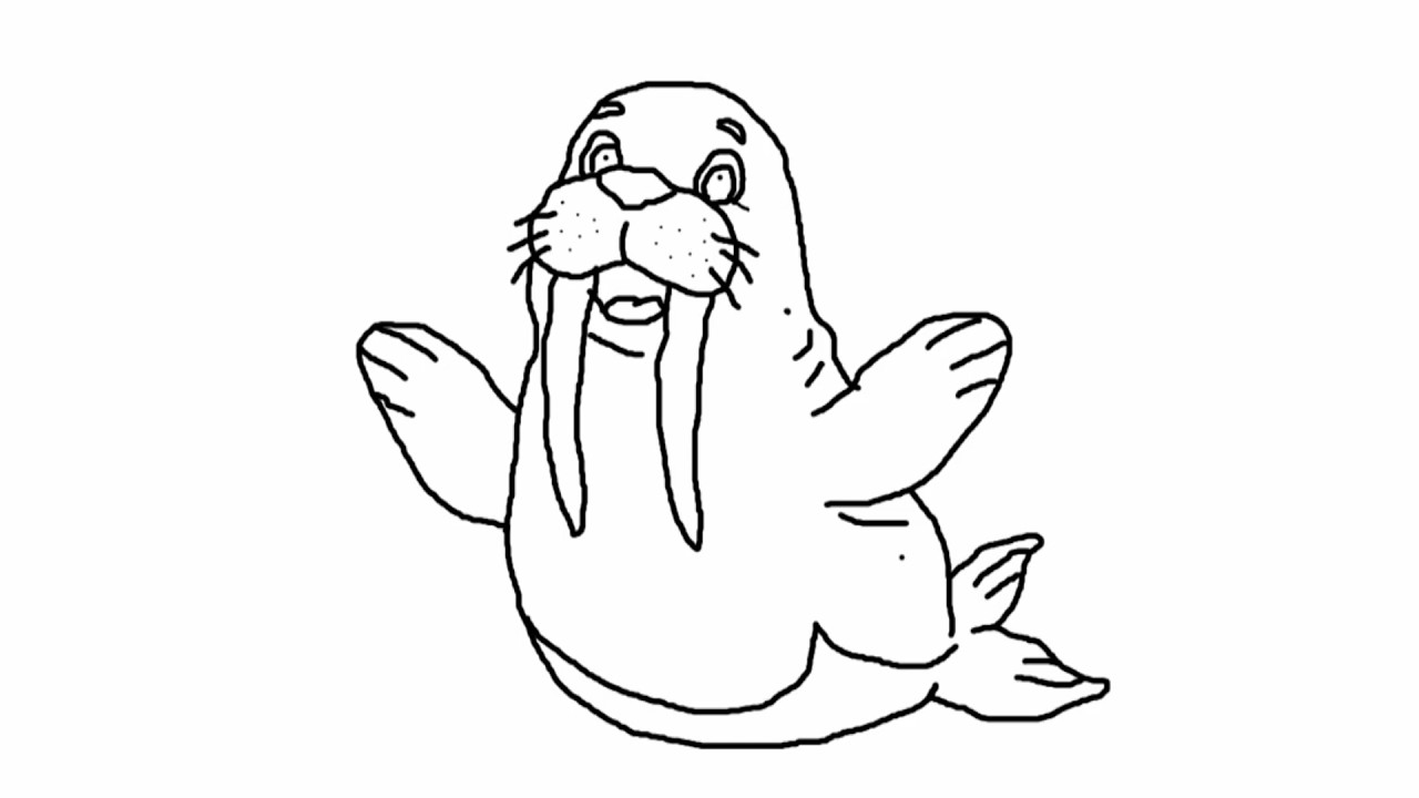Walrus Easy Drawing - Step By Step - Nishant Pundir - YouTube