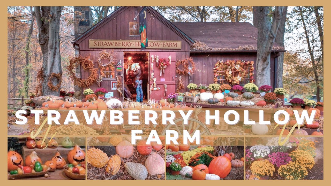 STRAWBERRY HOLLOW FARM 🍓A Wonderland of Harvest Cornucopia & Holiday ...