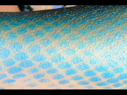 Snake Skin make up for halloween - YouTube