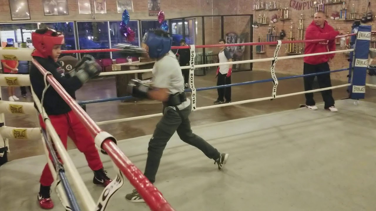 Zues Pindernation Sparring - YouTube