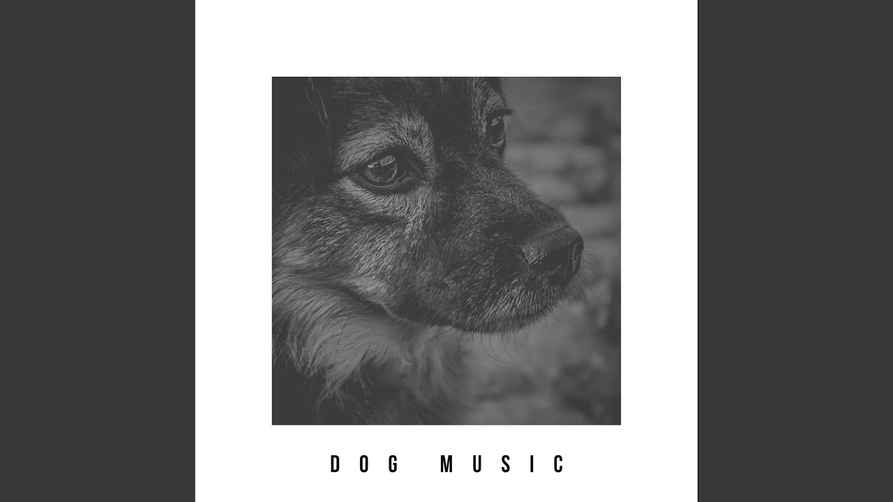 Music For Dogs YouTube music-for-dogs-youtube