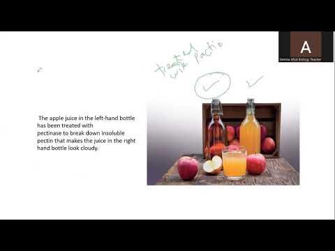 O Level Biology 5090 Chapter 18 Biotechnology and genetic modification ...