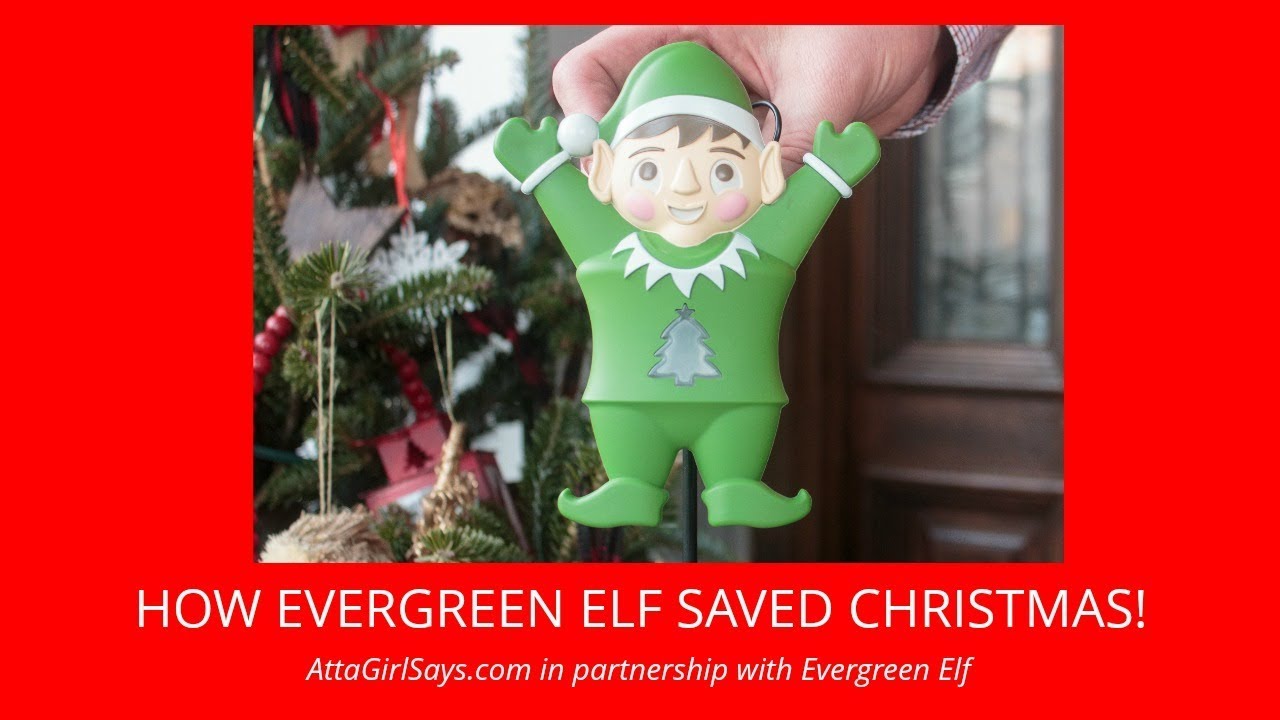How Evergreen Elf Saved Christmas #ad - YouTube