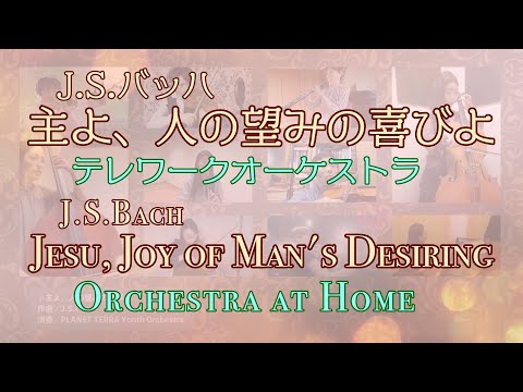 J.S.Bach: Jesu, Joy of Man's Desiring - \