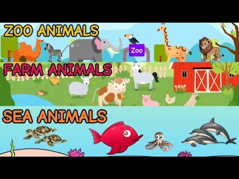 Learn Animals For Kids | Learn Farm Animals | Learn Zoo/Wild Animals ...