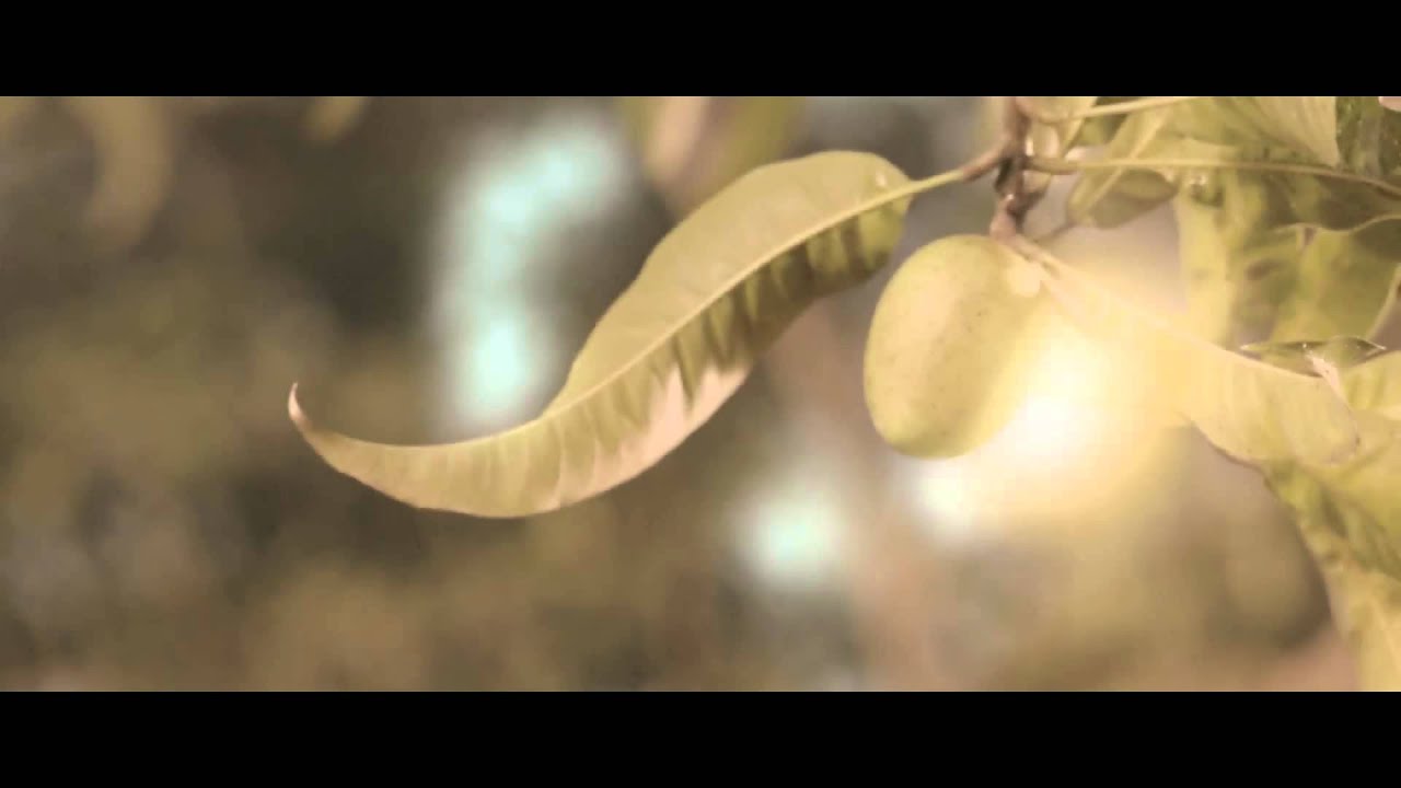 Ranjit Rocky - YouTube
