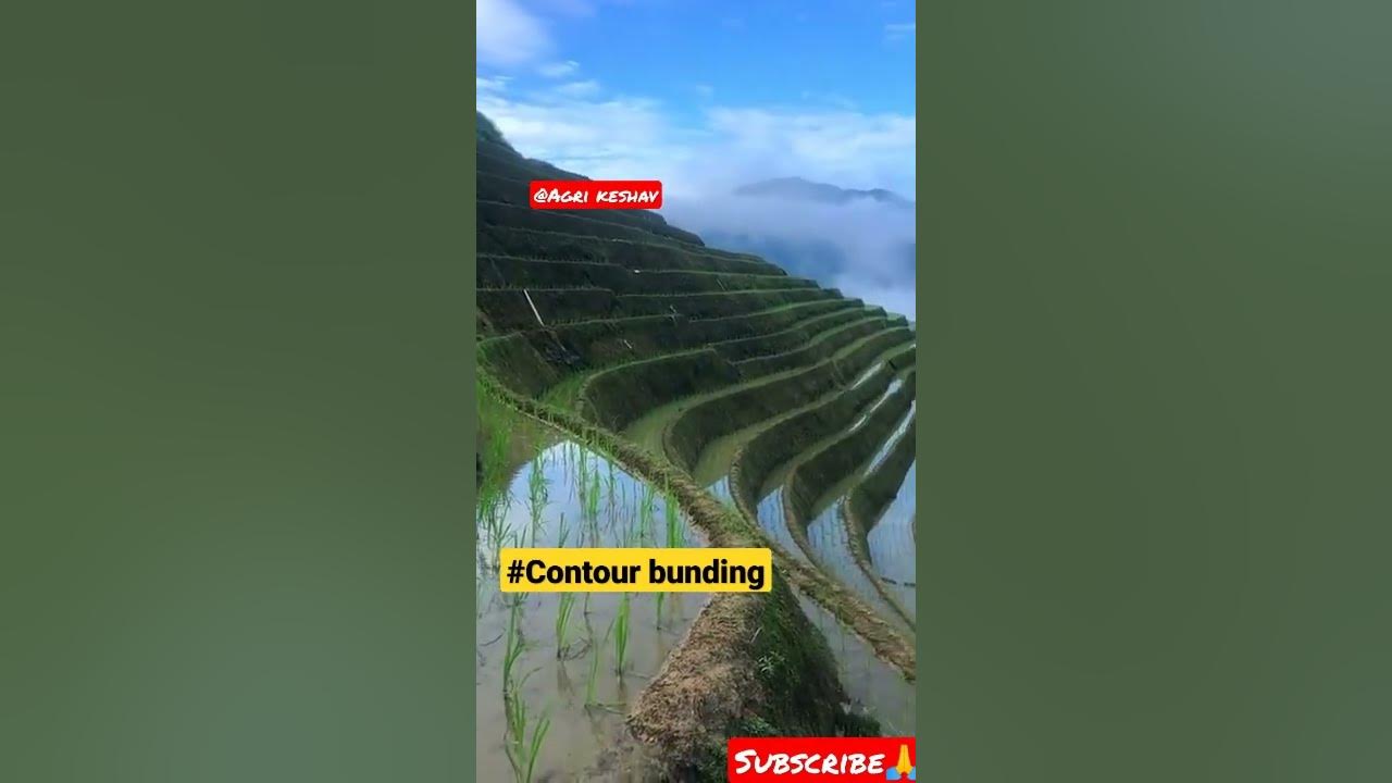contour Farming agriculture agricultureinformation agribusiness contour-farming-agriculture-agricultureinformation-agribusiness
