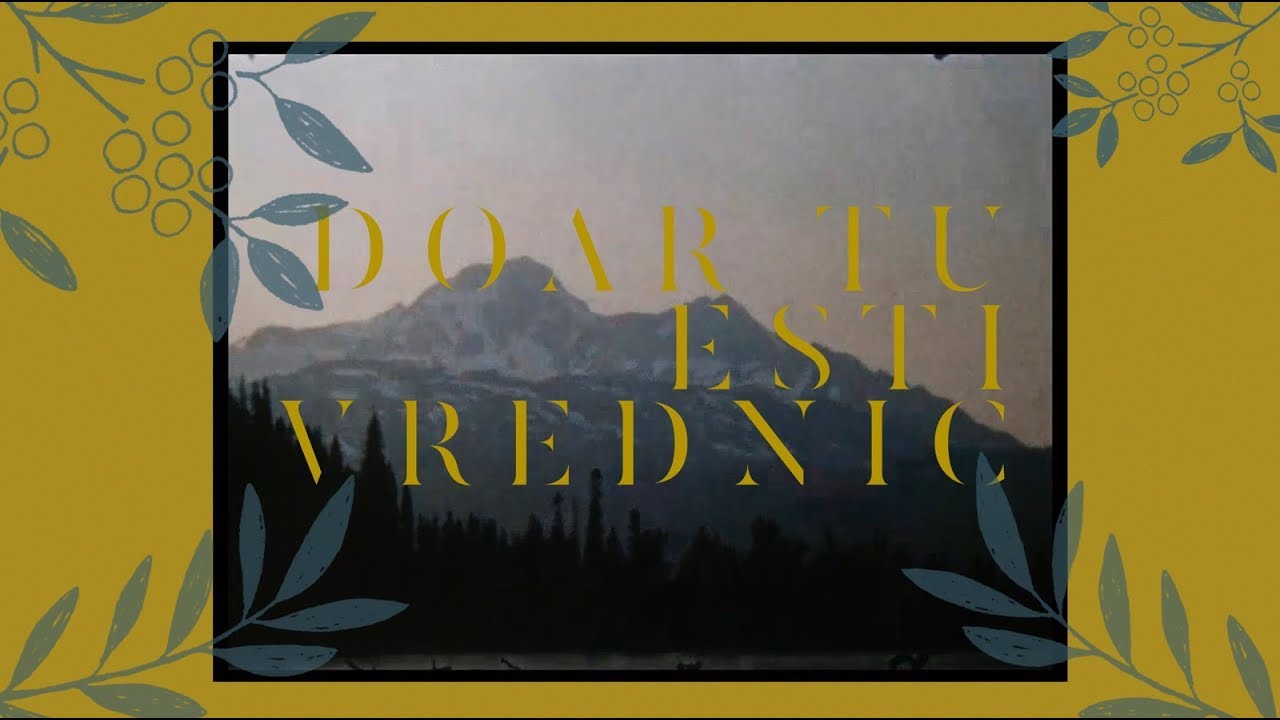 Not an Idol - Doar Tu ești vrednic (Official Lyric Video) - YouTube Music