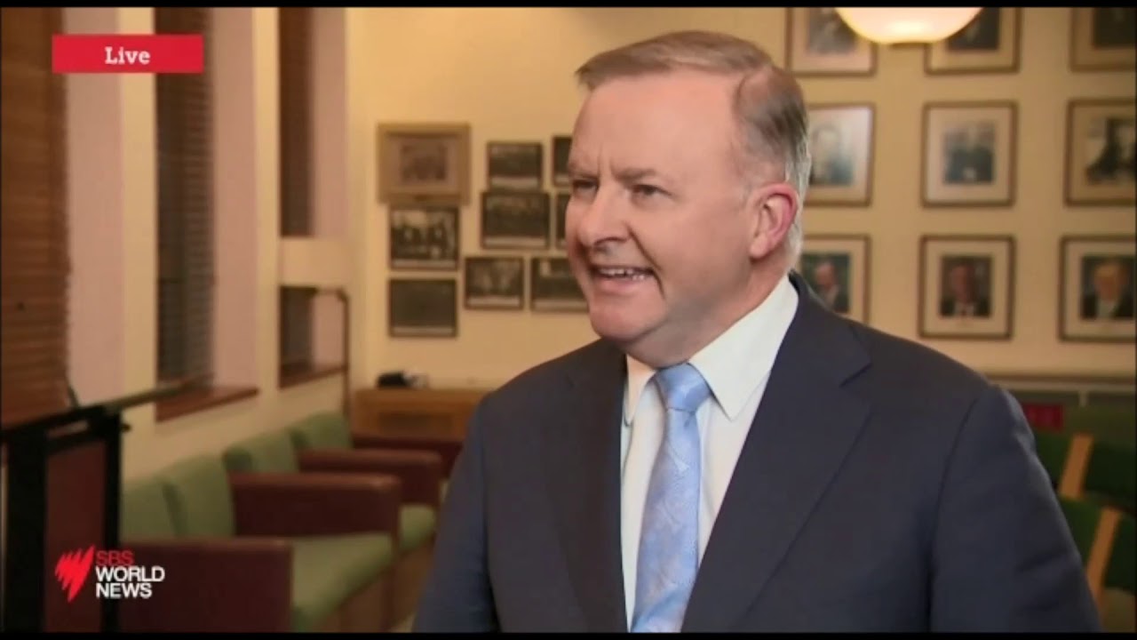 Anthony Albanese Interview with SBS World News - 29 May 2019 - YouTube