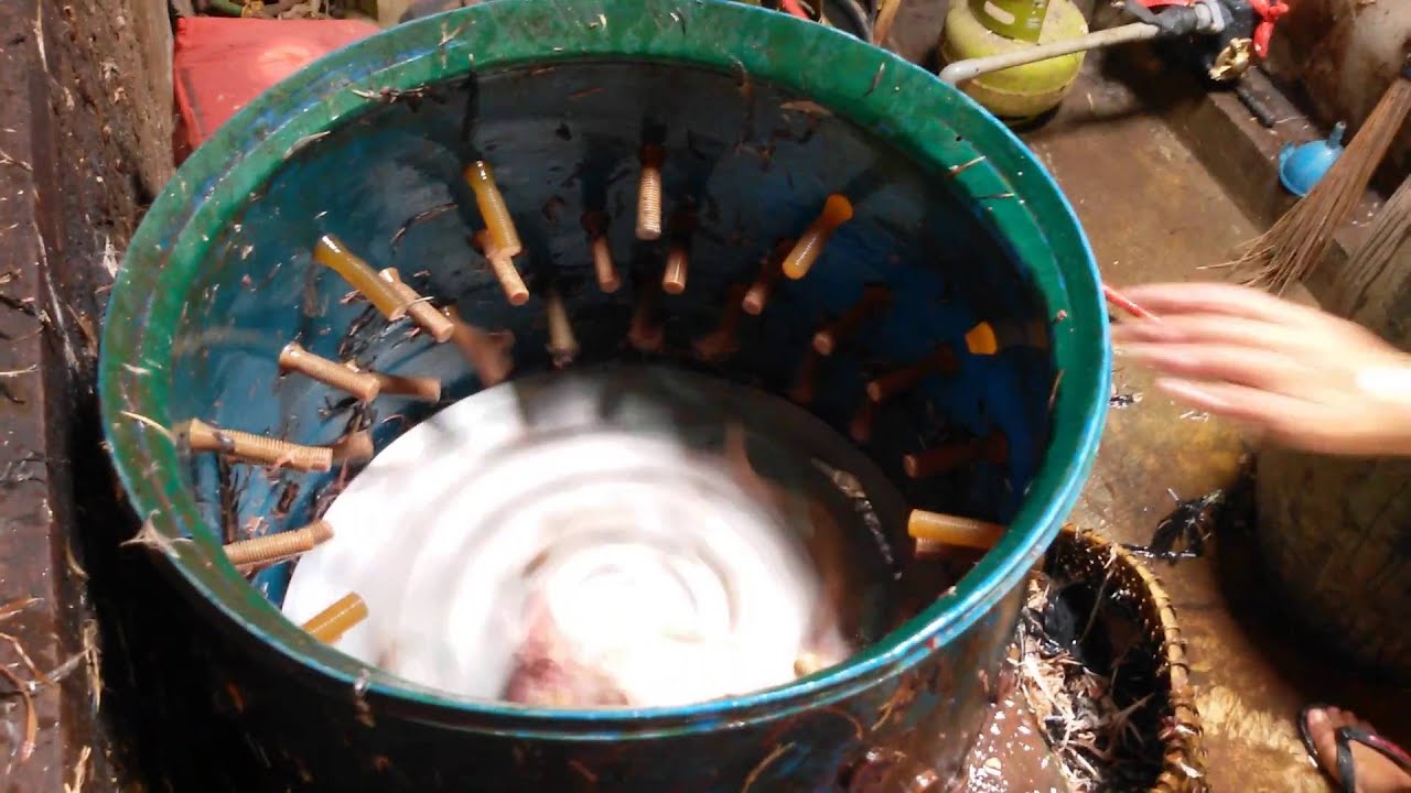 How to pluck a chicken in 10 seconds - Homemade Whizbang Chicken ...