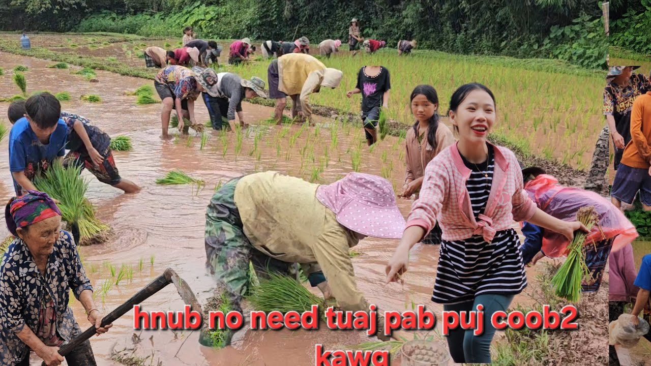 Hnub no neeg tuaj pab puj coob2 kawg li os - YouTube