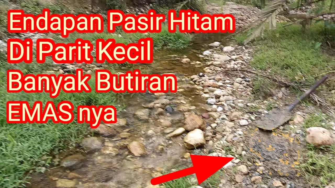 Parit Kecil EMAS nya Banyak Sekali. - YouTube
