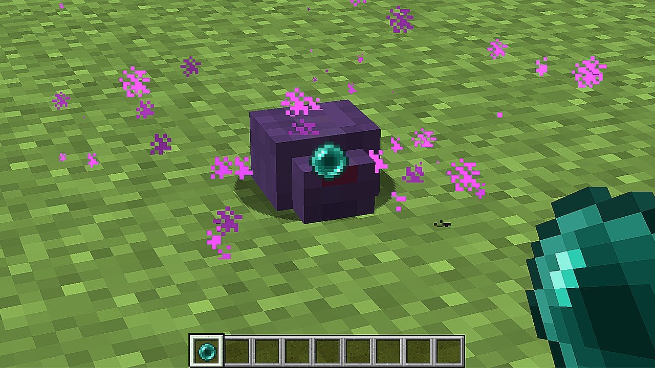 what's inside the endermite? - YouTube