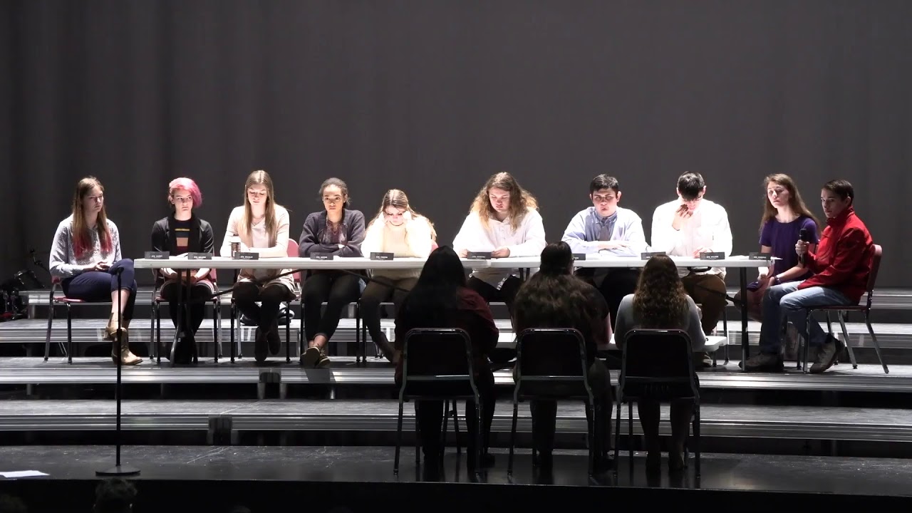 AP Government Mock Congressional Hearing - YouTube