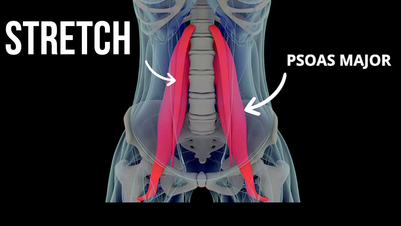 BEST Psoas Stretch (Immediate Release) - YouTube