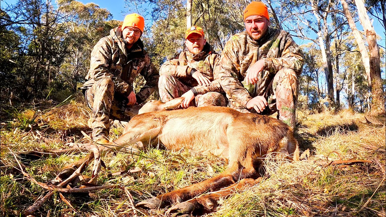 Trials & Tribulations | Persistence Pays Off - State Forest Hunting ...