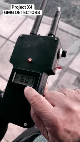 X4 gold detector 2D detection system ionic, bionic, VLF, IR with ...