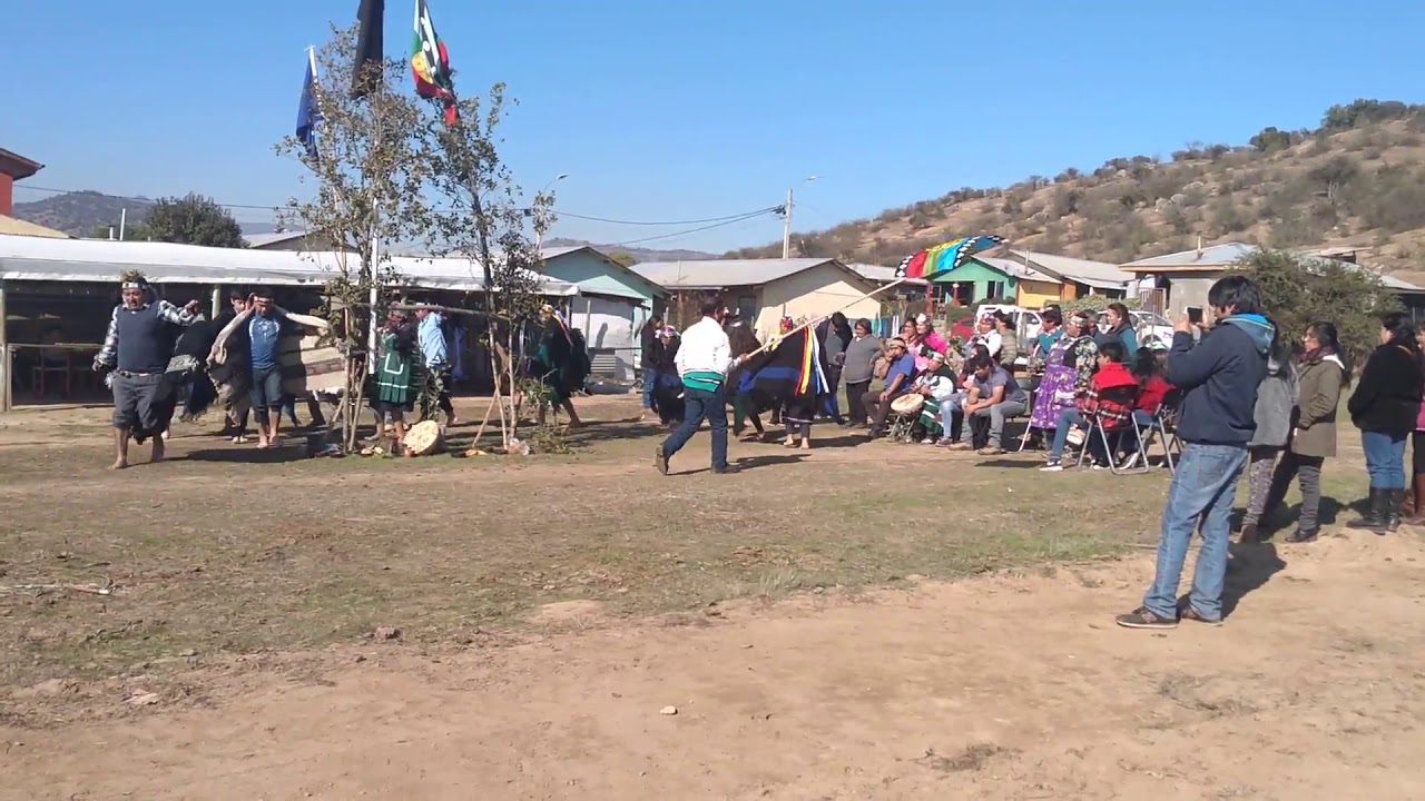 ÑUKE MAPU Agrupación indígena mapuche de Quinta de Tilcoco Enseñando a ...