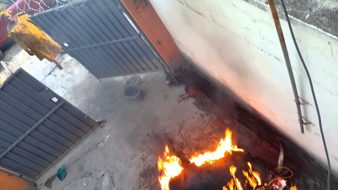 WATCH HOW COWS ARE BEING PREPARED AND SLAUGHTERED FOR A FUNERAL ...