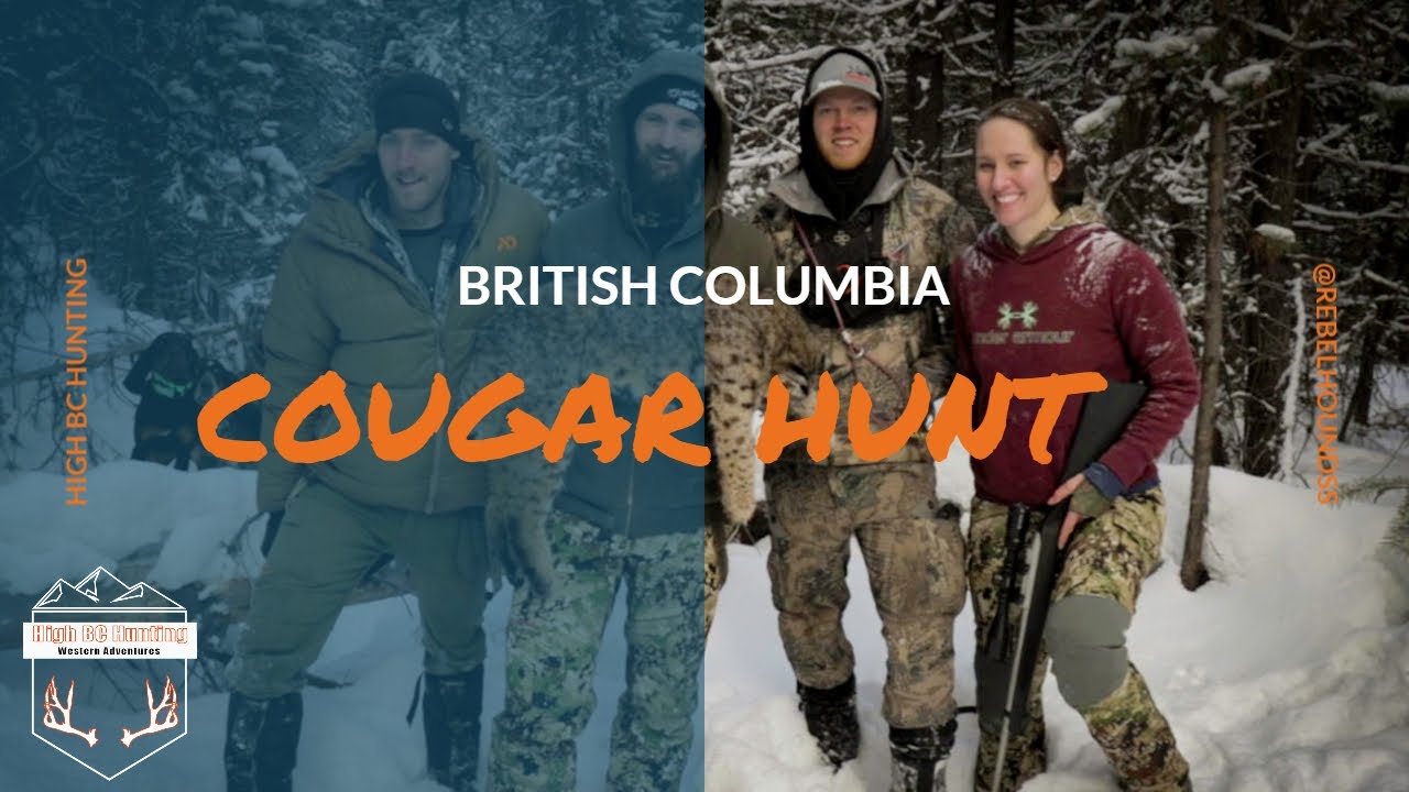 Cougar Hunt Feb 2021 - YouTube