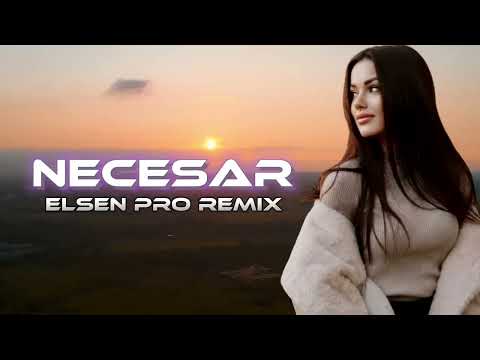 Mario Fresh & Renvtø   Necesar Prod  Elsen Pro 1