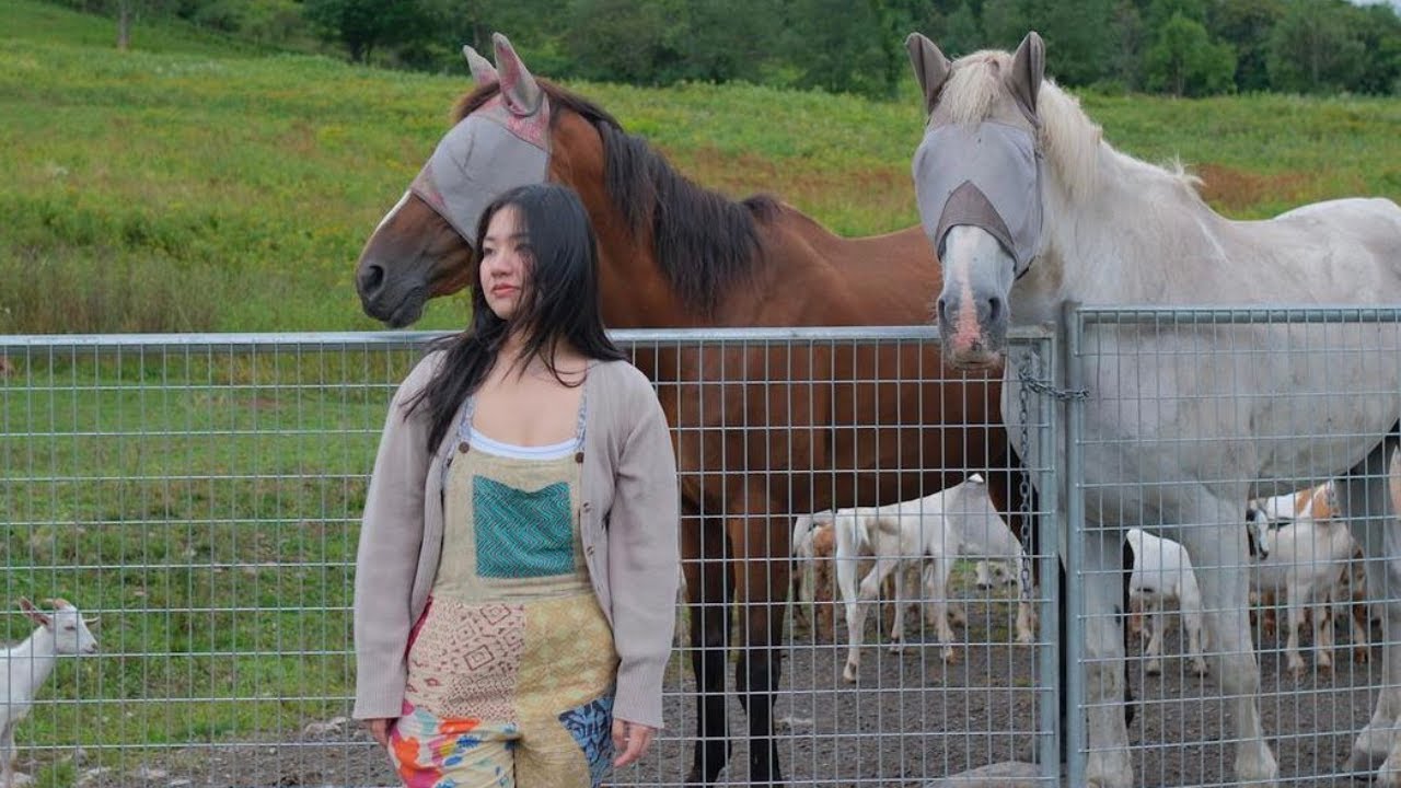 life at the farm! - YouTube