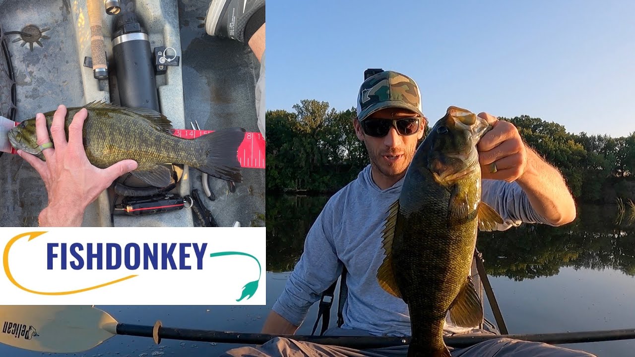 Fish Donkey Tournament - YouTube