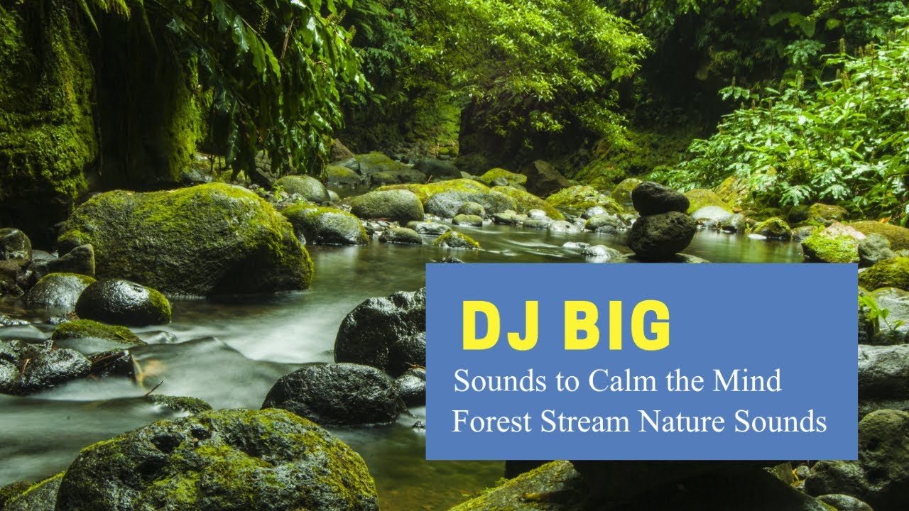 Natures Whisper - Forest Stream with Nature Sounds - YouTube