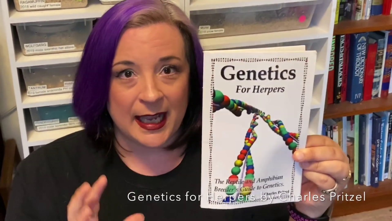 Introduction to Genetics and Stuff - YouTube