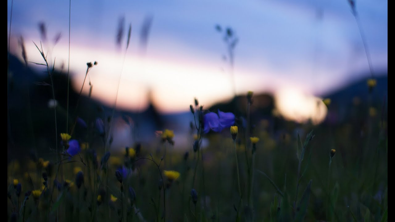 Funeral Service for Sandra Dewar - YouTube