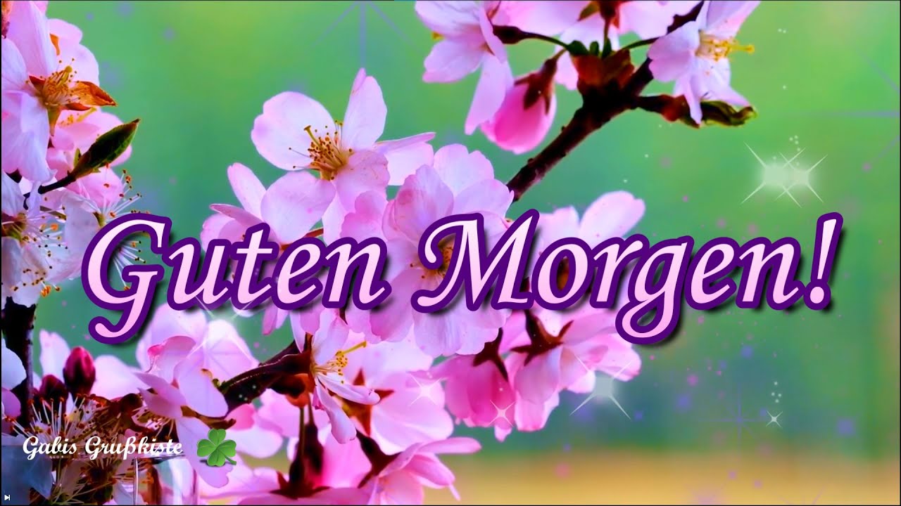 Ich habe gerade an dich gedacht am Morgen und wünsche dir einen tollen ...