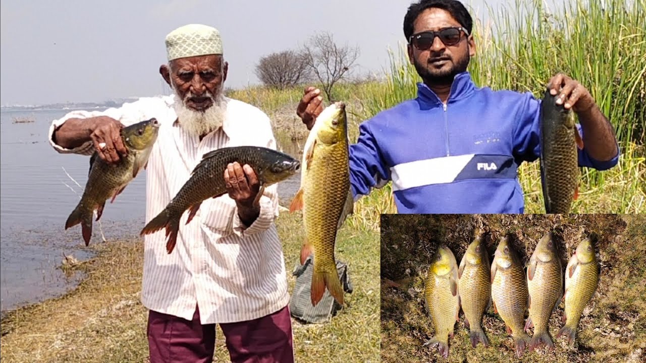 !! Monster fishes [Rahu 🐟] !! 💯 Result of fodder !!! super fishing in ...