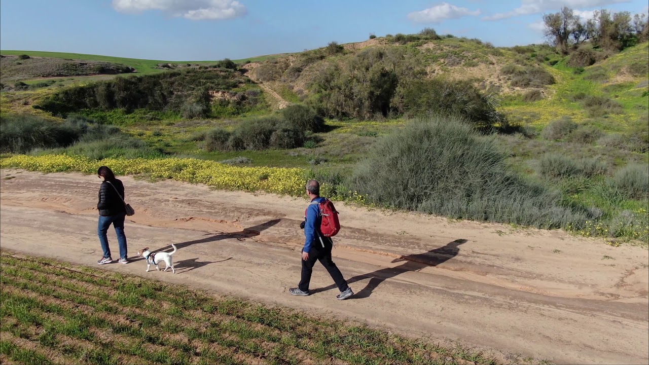 ISRAEL - Ruhama Badlands & the Pura Reserve - YouTube