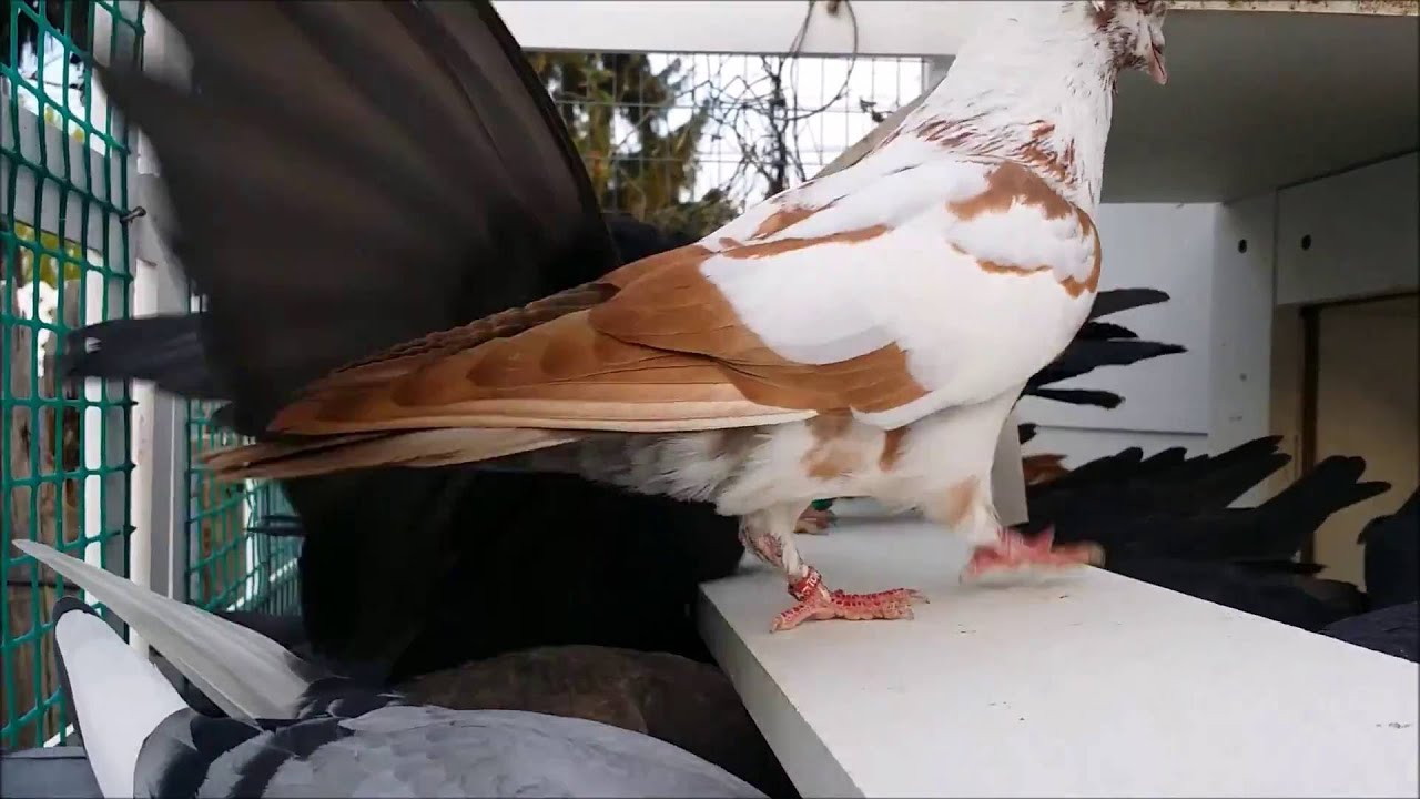 Some low flying time - YouTube