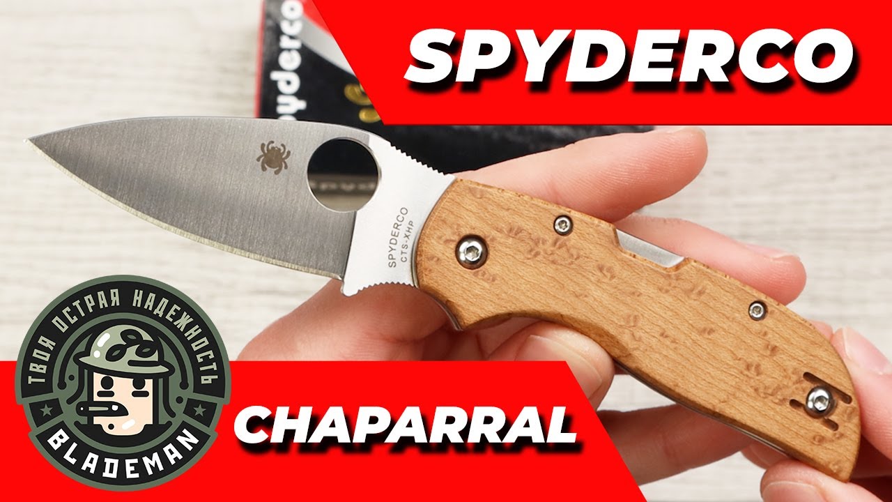 Нож Spyderco Chaparral, CTS XHP, Maple Wood, C152WDP - YouTube