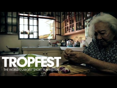 Moth in Twilight | Finalist of Tropfest SEA 2014
