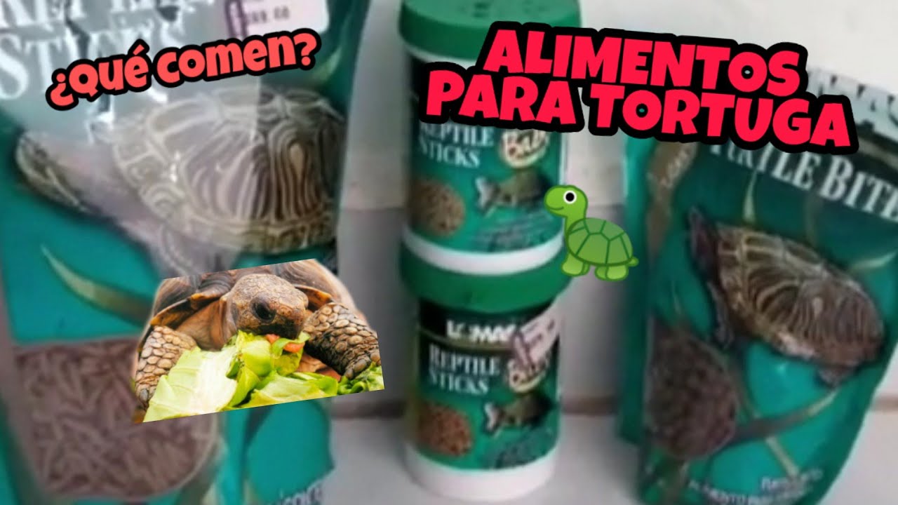 Como saber cuál es el mejor alimento de tienda para mis tortugas - YouTube