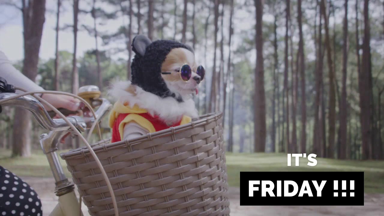 MAKING MEMORIES FOR MONDAY - YouTube