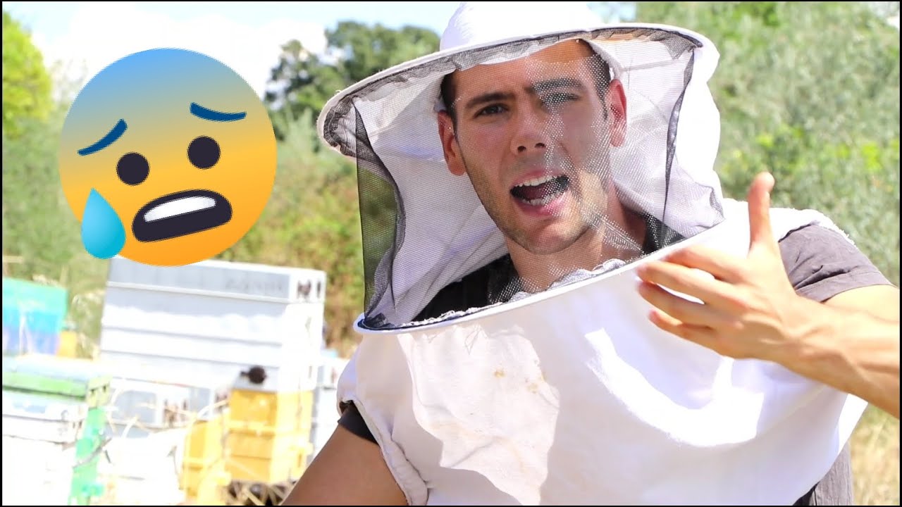 STORYTIME: ΑΛΛΕΡΓΙΚΗ ΑΝΤΙΔΡΑΣΗ ΣΤΑ ΜΕΛΙΣΣΙΑ😱 - YouTube