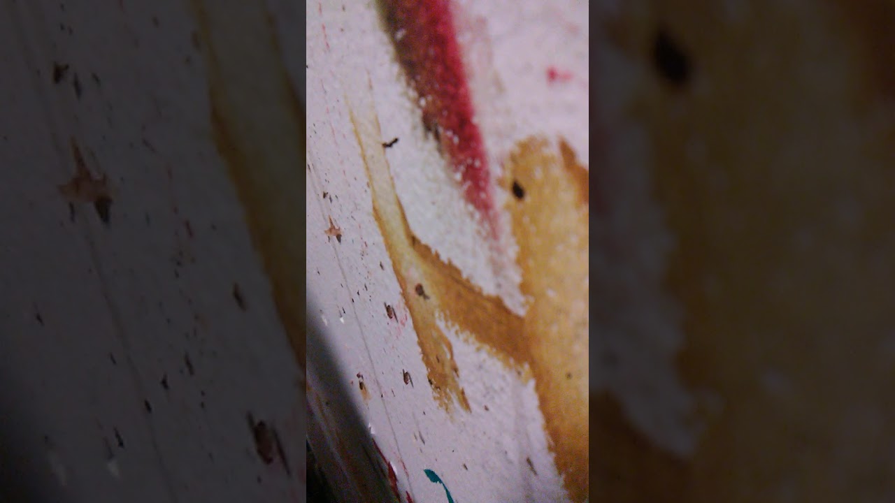 The fruit flys attack you - YouTube