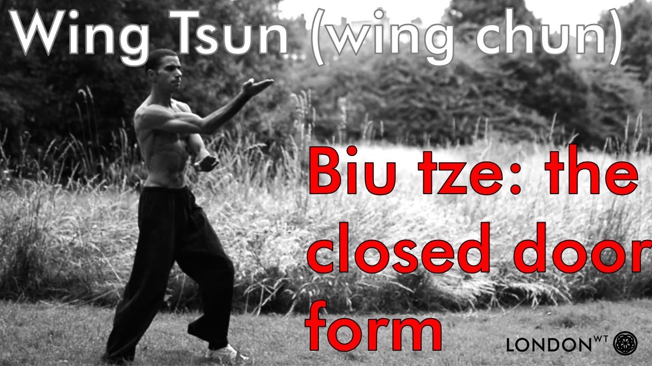 Biu tze: the closed door form. Wing tsun (chun) biu tze (tjee/jee ...