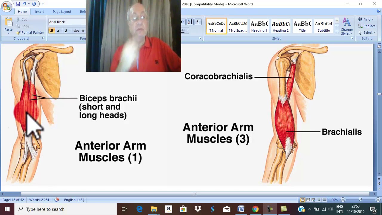 Anatomy of upper limb 13 (Muscles of front of arm ) , by Dr. Wahdan ...