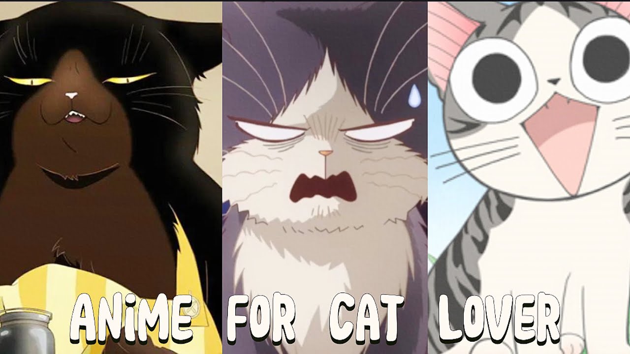 8 Best Anime For Cat Lovers - YouTube