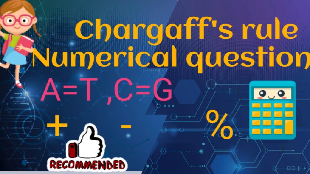 Chargaff's rule|| numerical problems ||MCQ with answers||DNA ...