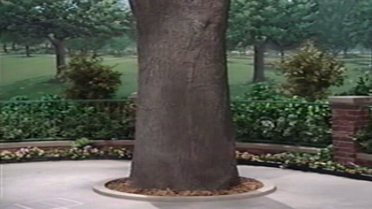 Barney and Friends - Barney gets shot by a Horse after frightening ...