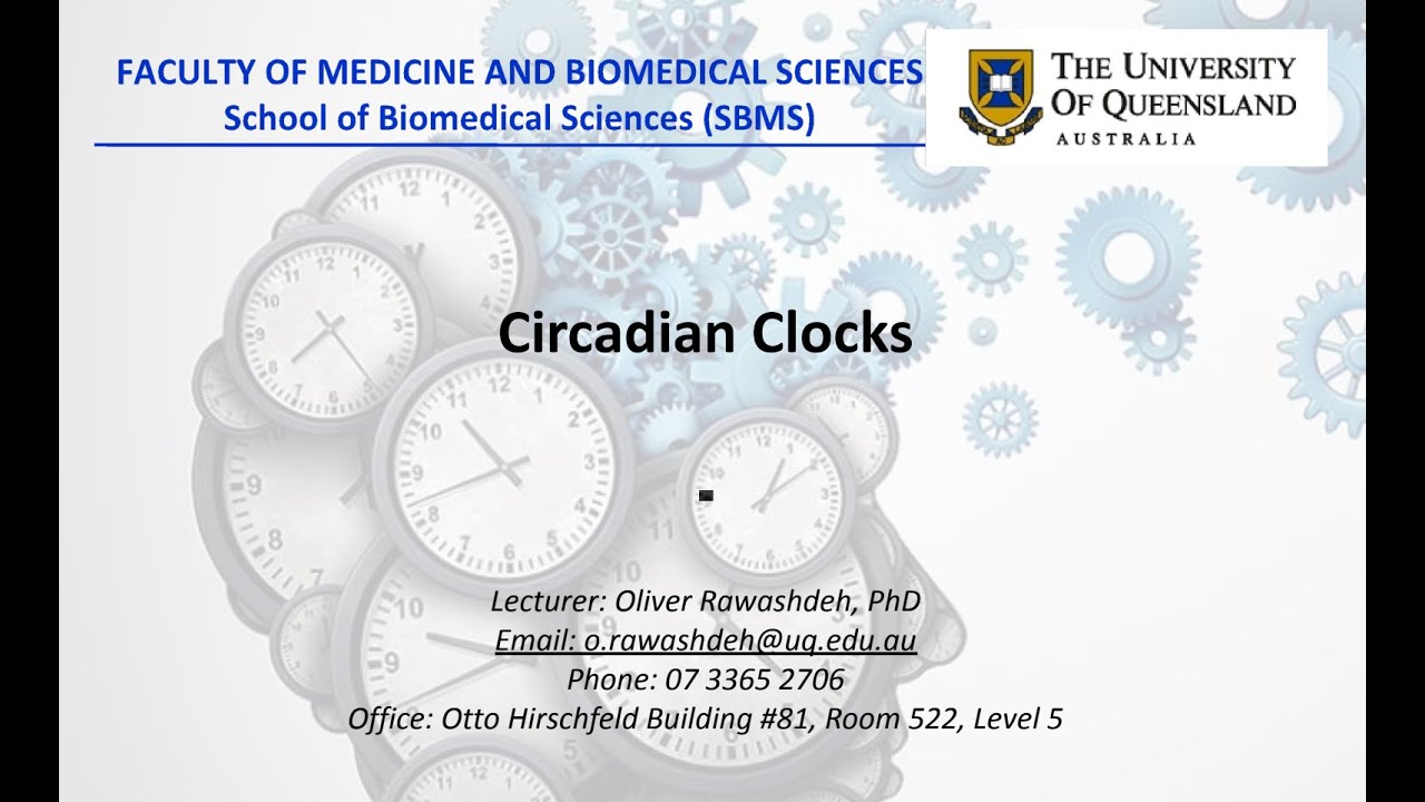 Time Appliances Project Call #74 (June 7, 2023) - YouTube