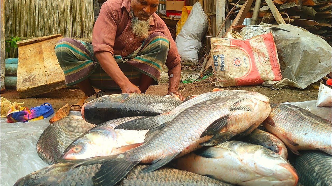 BIG 80 KG 25 pics hug Egg KATLA fish cutting by three man/fish cutting ...