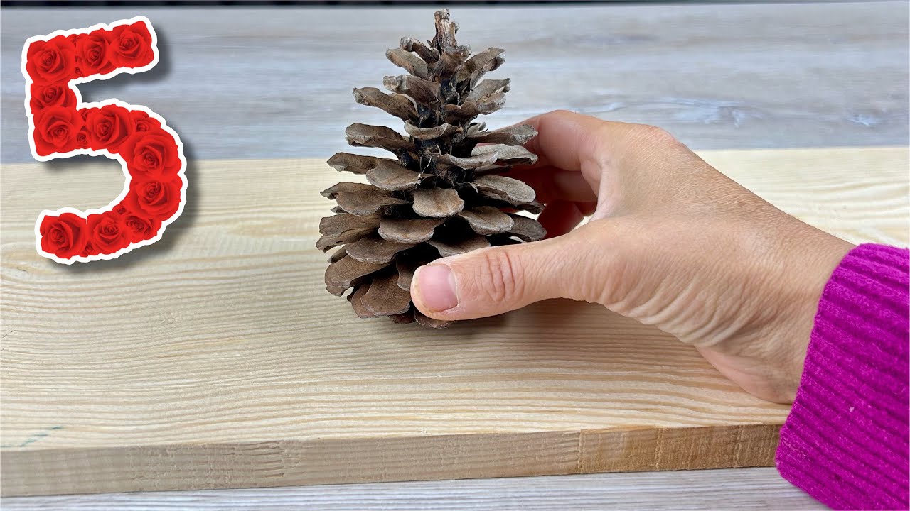 5 Amazing DIY Ideas With Pine Cones! - YouTube