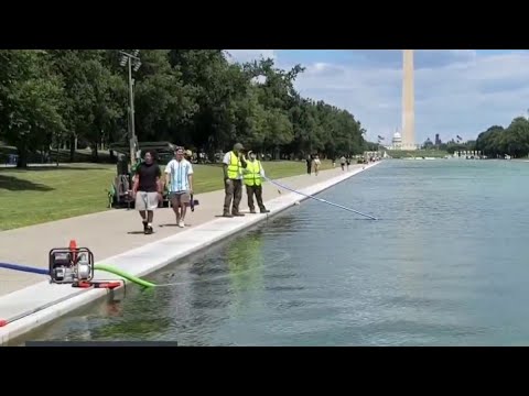 ‘It happens': Scientist on National Mall reflecting pool water turning green | NBC4 Washington