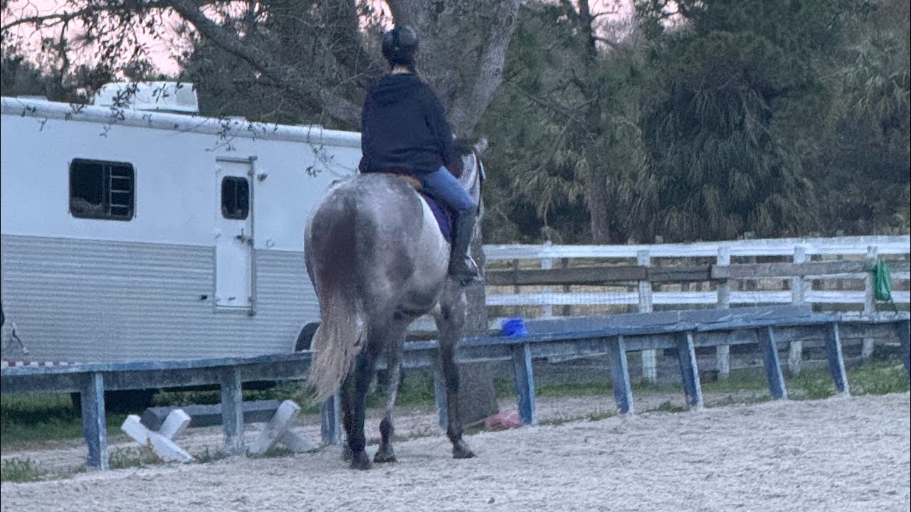 Go pro Try a horse with ME - YouTube